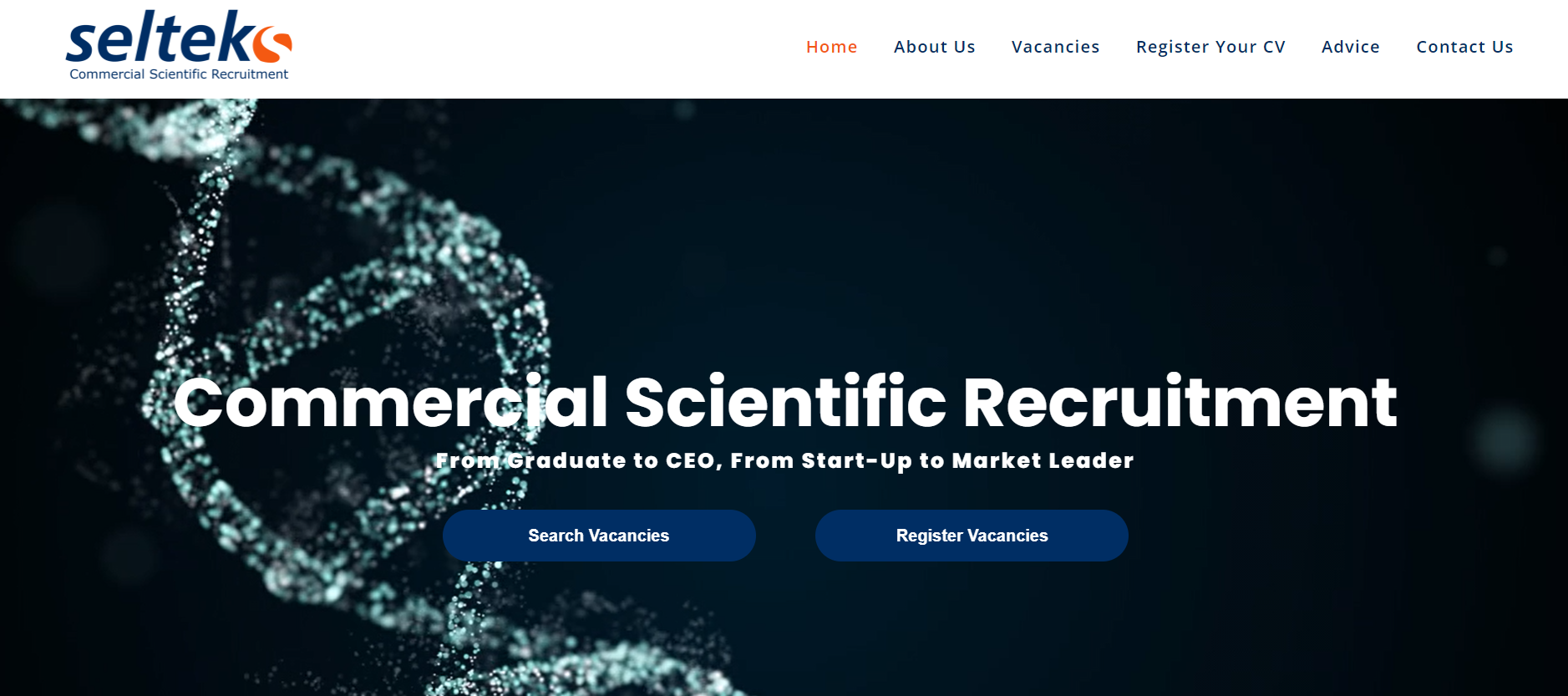 Home - Seltek Consultants